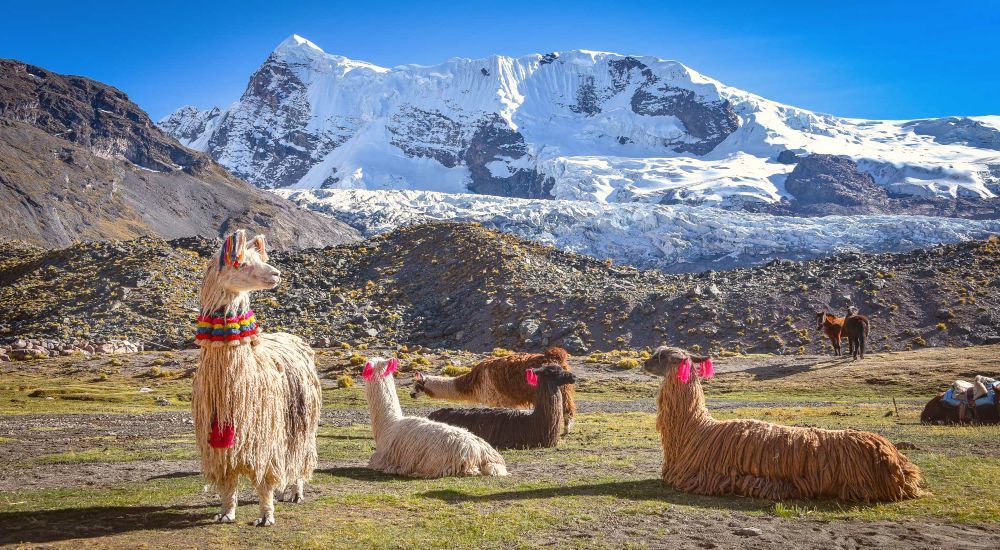 Machu Picchu to Ausangate Trek 6 Days & Rainbow Mountain | peru trek